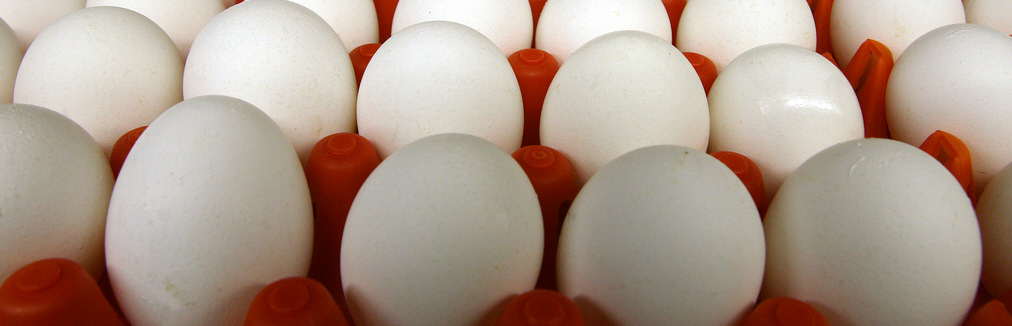 Lo que dice la ciencia para adelgazar de forma fácil y saludable ...