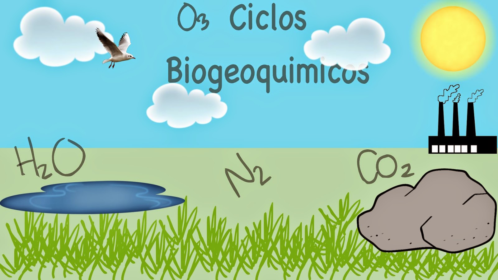 Ciclos Biogeoquimicos