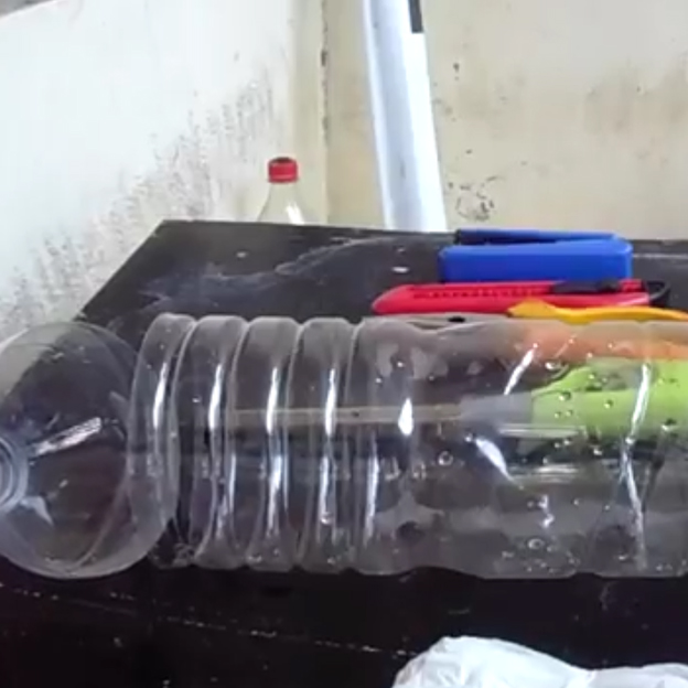 Cara Jitu: Membuat PERANGKAP LALAT BUAH Hanya Dengan Botol Bekas - Tips ...