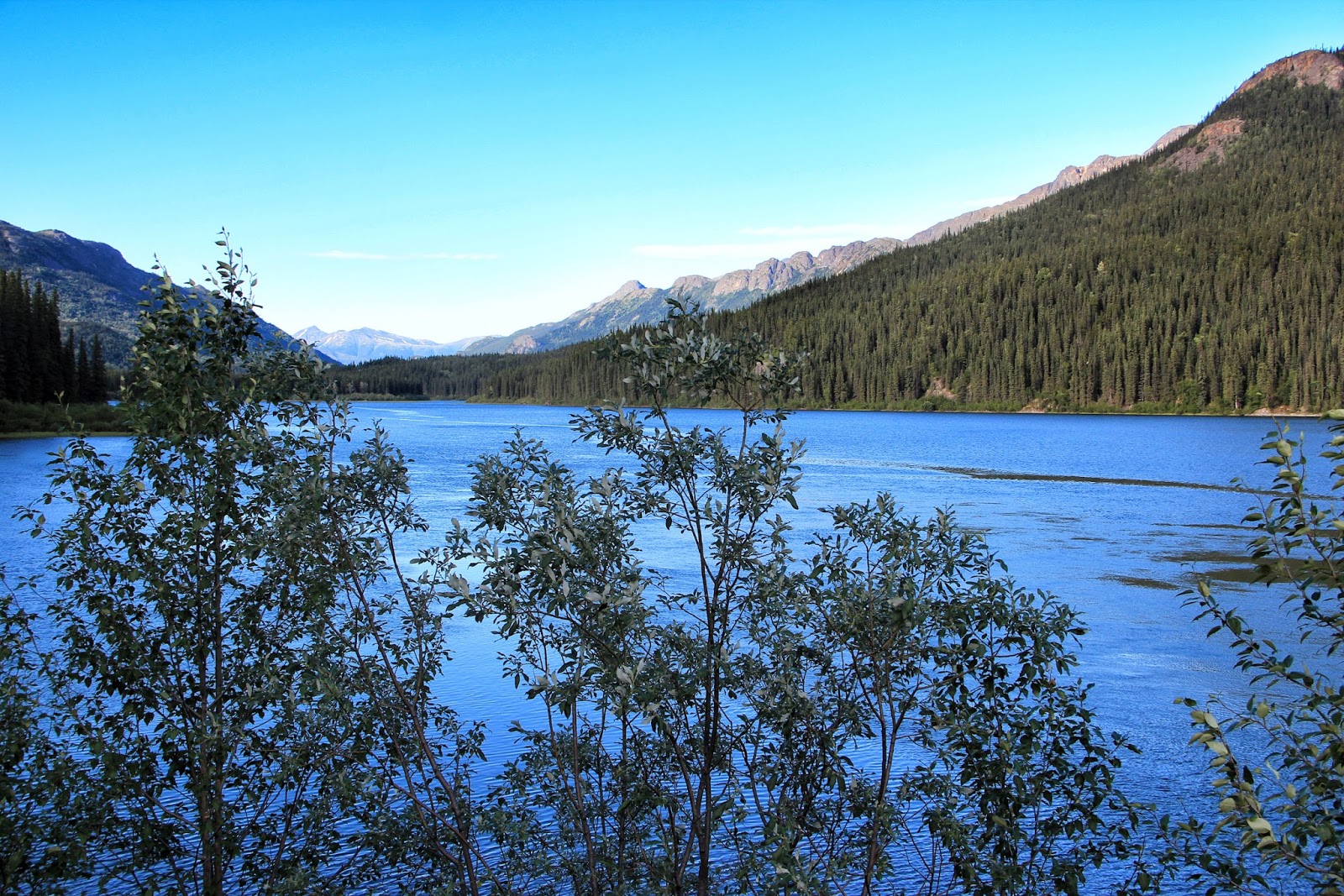 Riding the USA: Day 25.2 - Whitehorse - Dease Lake