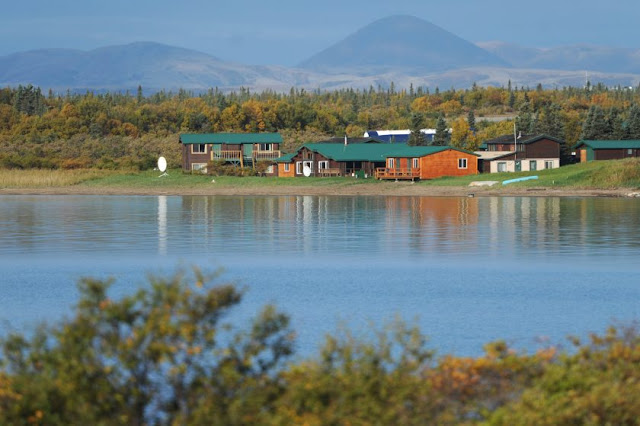 Kathryn's Report: de Havilland Canada DHC-3T Texas Turbine Otter ...