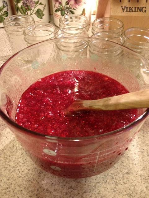 The Baked Alaska Project: Rose Hip & Raspberry Freezer Jam