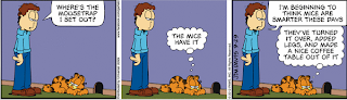 My Power Is Beyond Your Understanding: Vote for the Garfield's Best of 2012