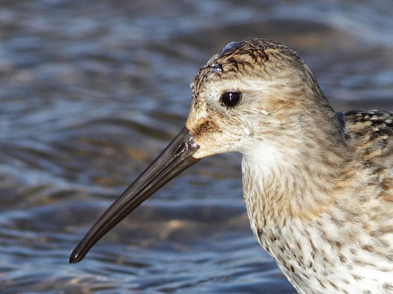 Dermot Breen's Blog: September 2013