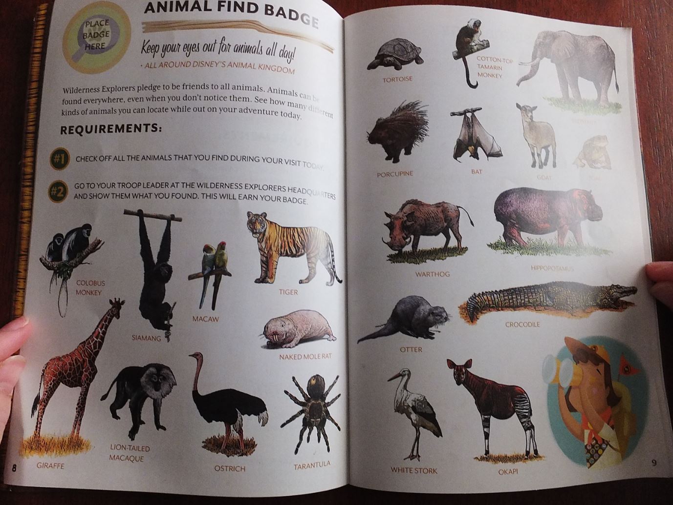 15 Free or Cheap things to do with kids at Walt Disney World