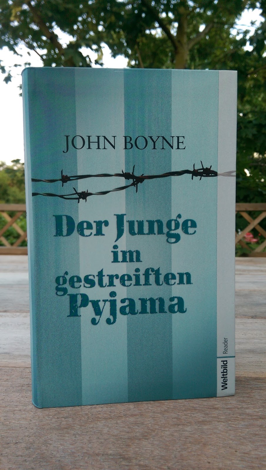 Apple on a cherrytree: Book review - The boy in the striped pyjamas ...