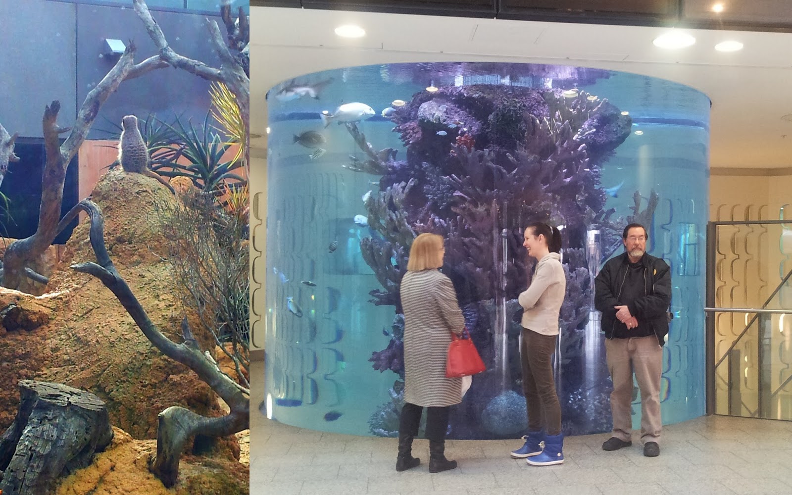 jouljet: Royal Children's Hospital: Open House Melbourne