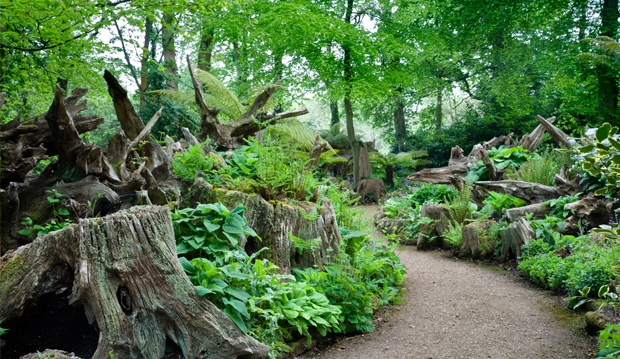 PUMPKINROT.COM: The Blog: Stumperies