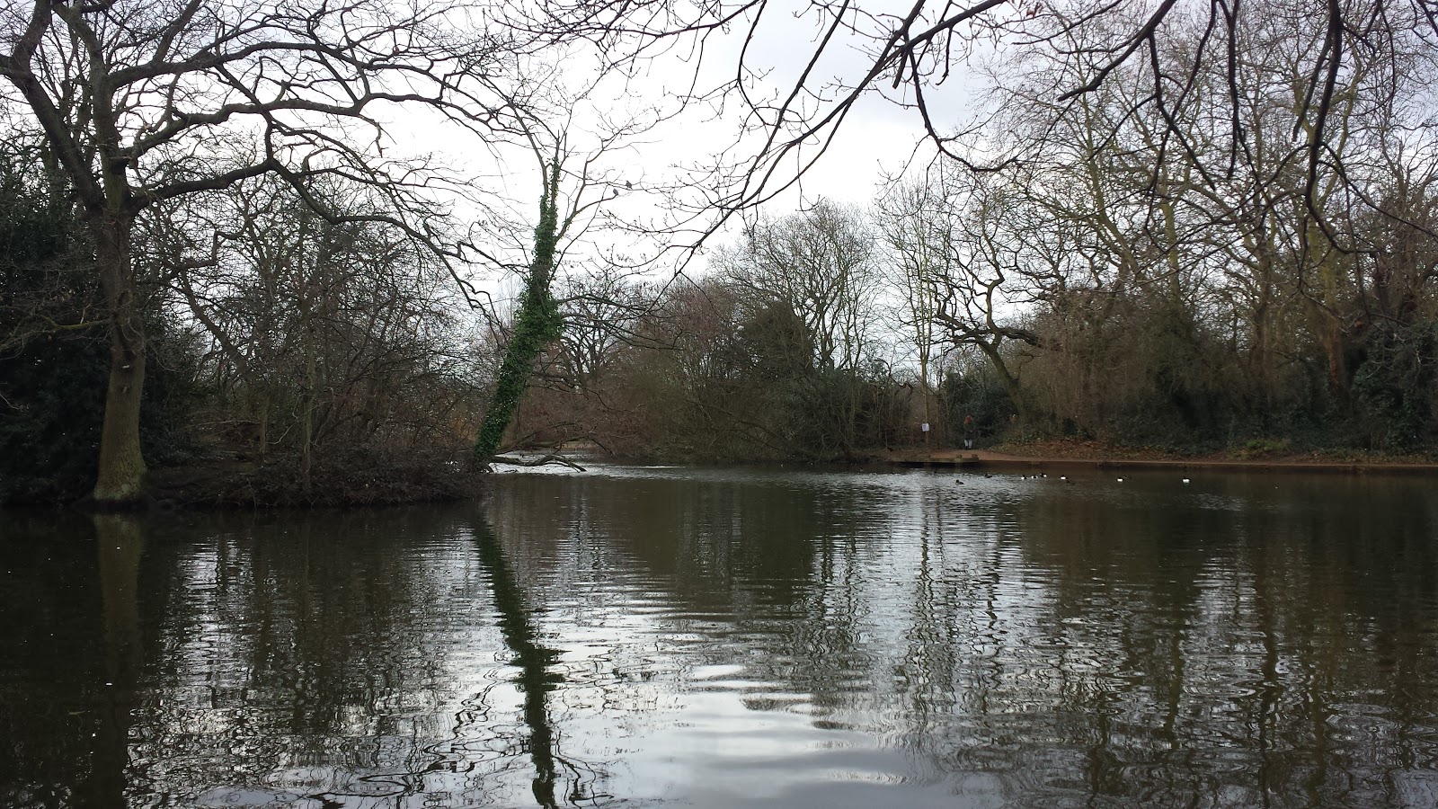 blog7t: Tooting Common parkrun