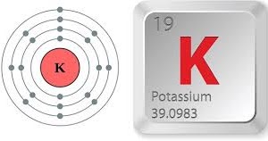 Fungsi Kalium Pada Tanaman