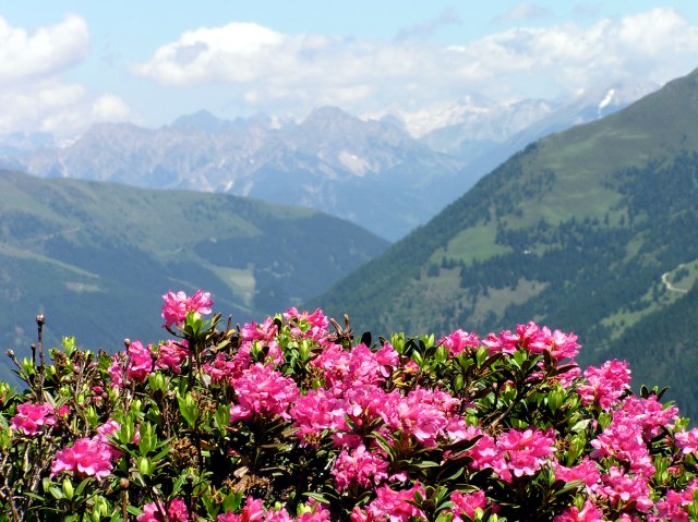 Prima Fleur Botanicals: February 2011