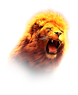 LION HD PNG image - MUTHARAIYAR NETWORK - முத்தரையர் நெட்வொர்க்