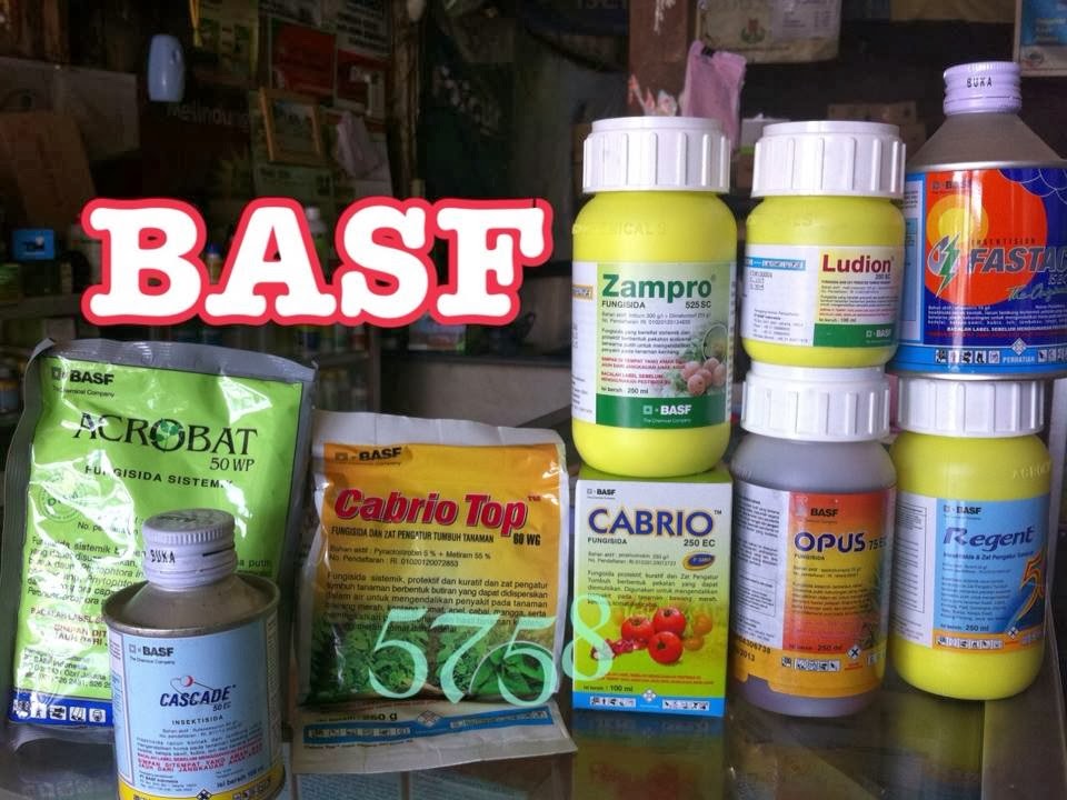 BERBAGI INFORMASI: PT. BASF