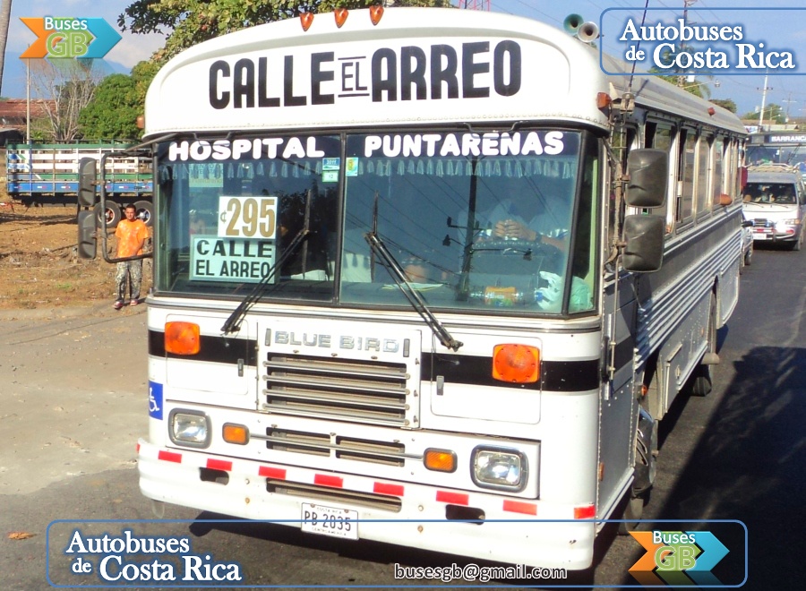 Autobuses de Costa Rica: Autobuses de Costa Rica: Blue Bird TC 2000