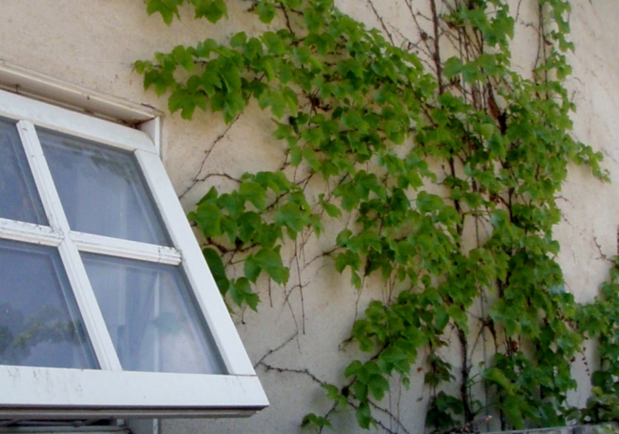 Cabin & Cottage : Happy Spring at Alden Lane