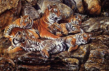 National Wildlife Galleries: Alan Hunt Wildlife Art