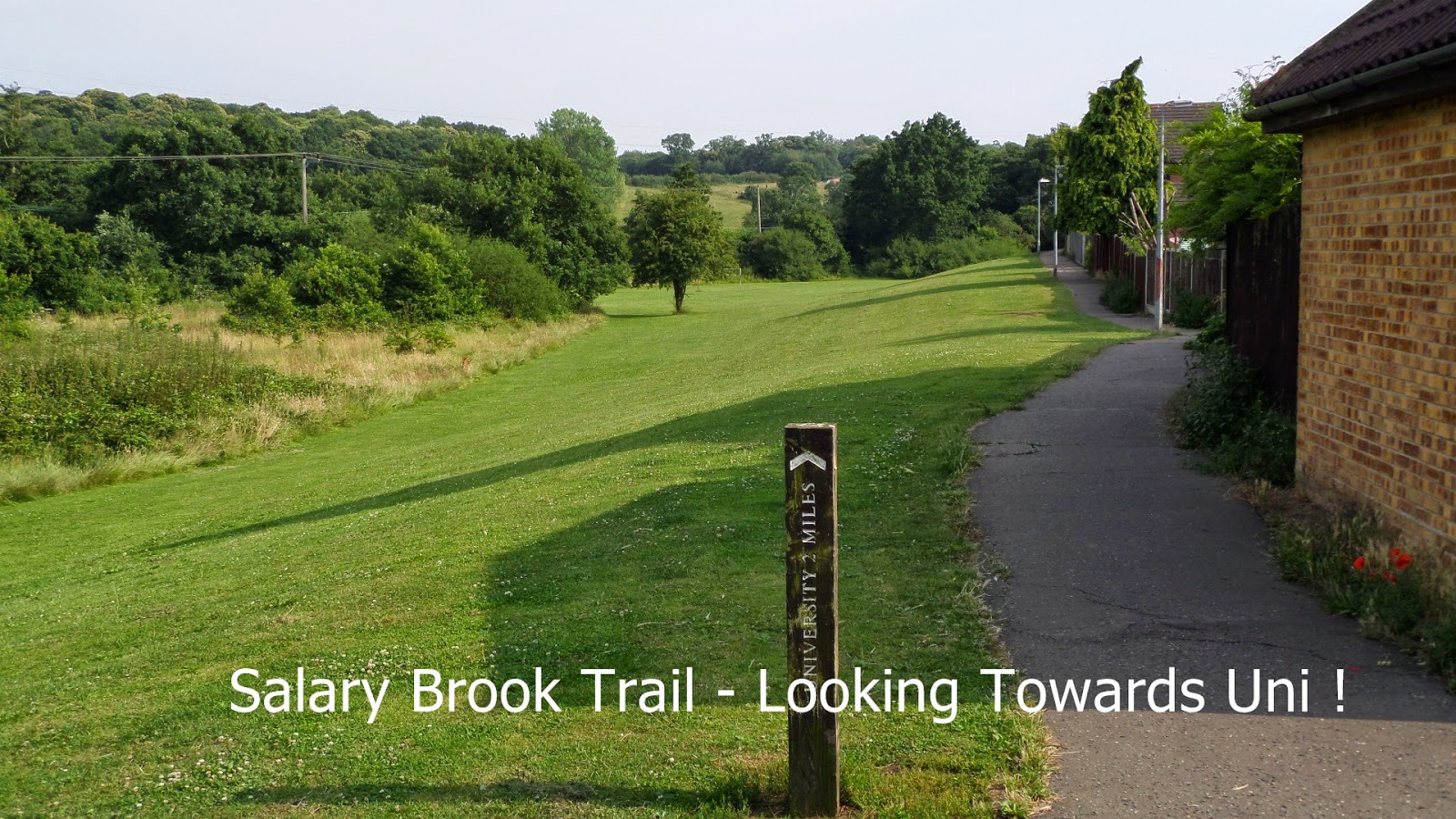 Mark Goacher Eco Politics : Support the Campaign To Save Salary Brook ...