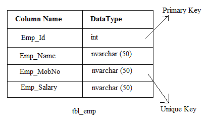 Programmer: Difference between Primary Key & Unique Key