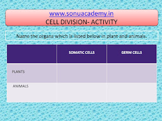 SONU ACADEMY: CELL DIVISION ACTIVITY