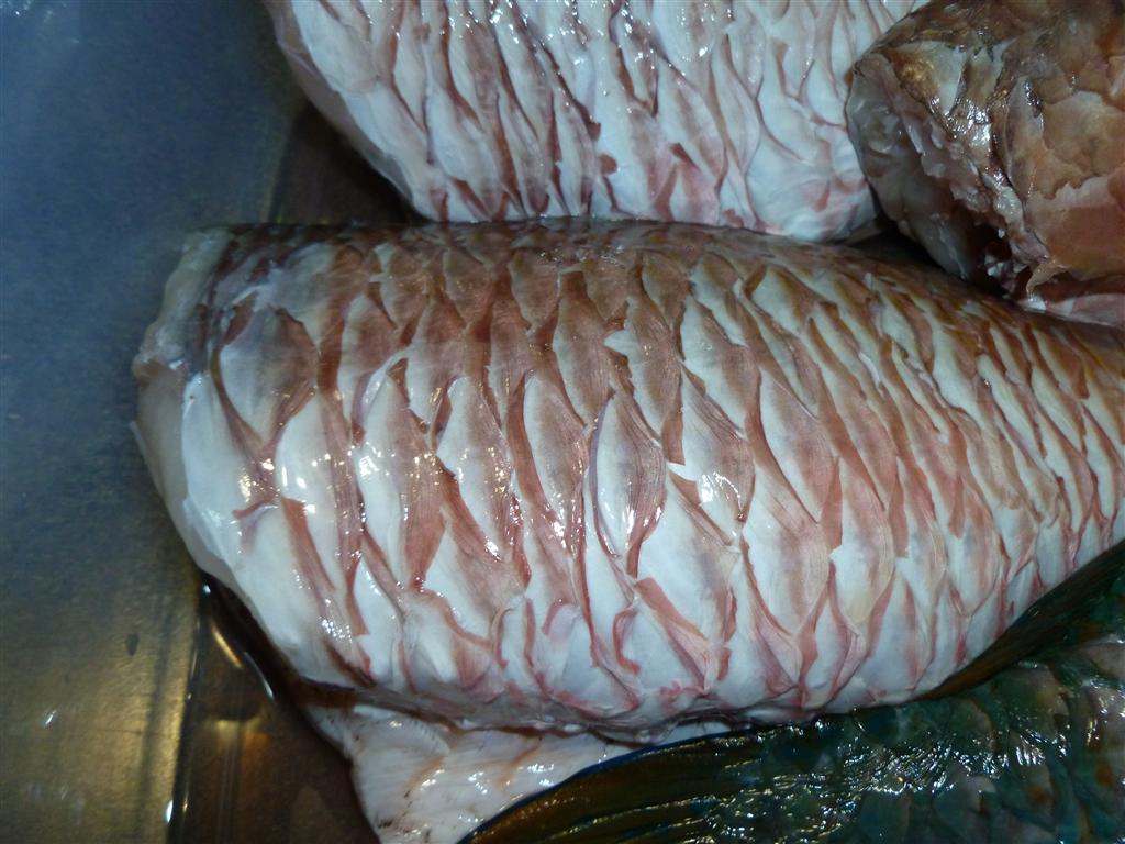 Guam Firehouse Cook: Baked Reef Fish the Island Way