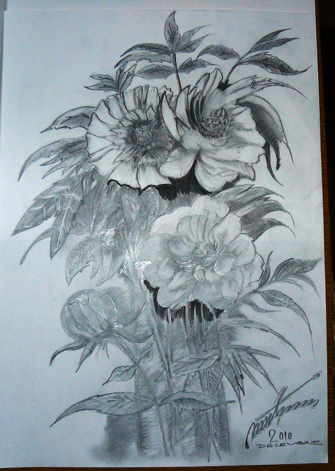 generatia67: GRAFICA / DESEN (graphics and drawings)