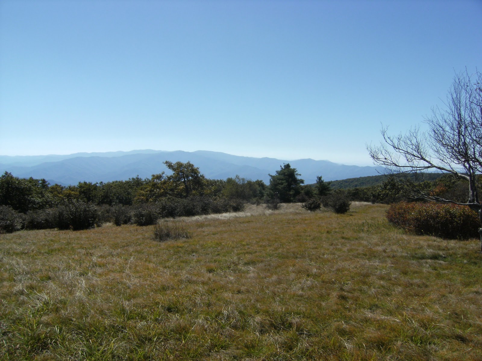 GSMNP - HIKER: Hike to Gregory Bald in the GSMNP