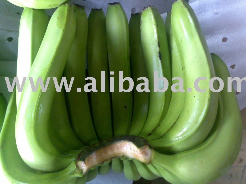 Siapa Yang Mau Tau dan Lihat Gambar Gambar Pisang Besar? Langsung Simak ...