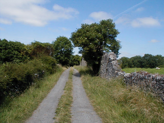 Travels with my Forebears: The Faheys - Part III: Our Galway Roots