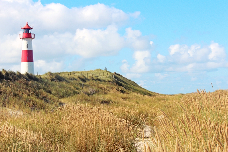 7 Dinge, die man unbedingt auf Sylt gesehen haben muss! - linsenspiel.com