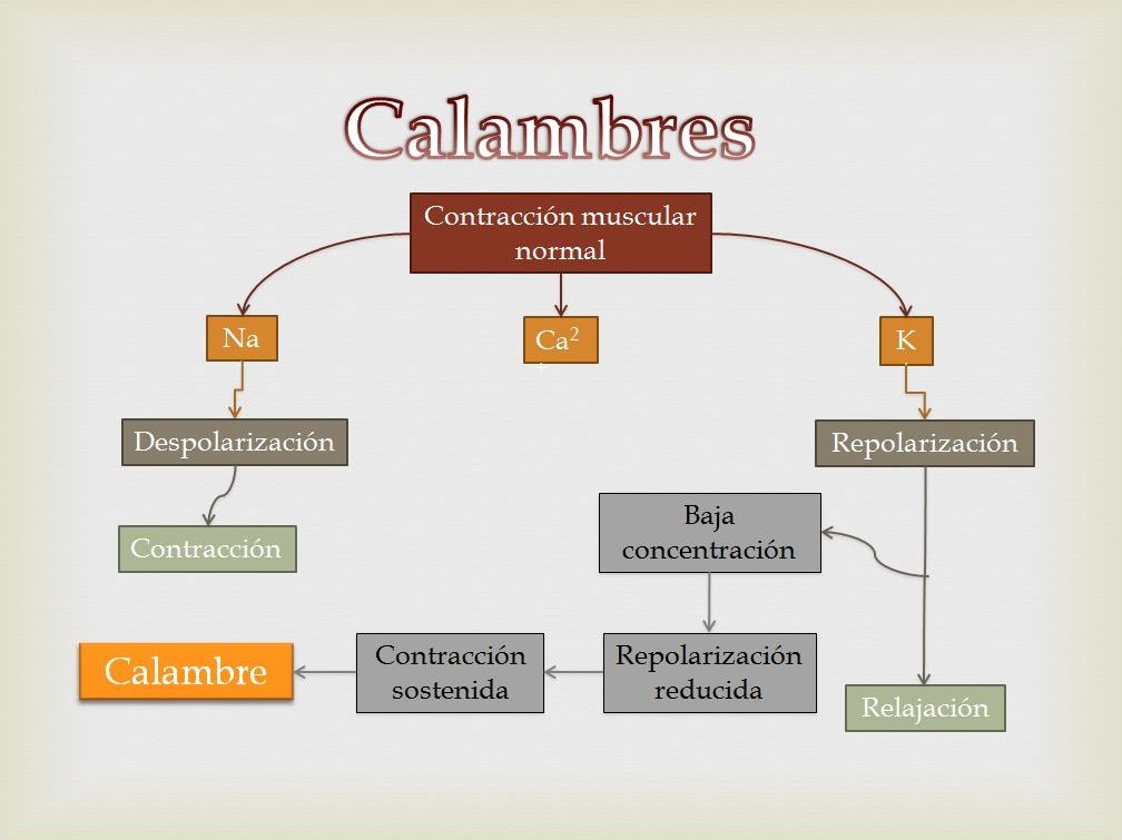 Fisiología Humana: Calambres