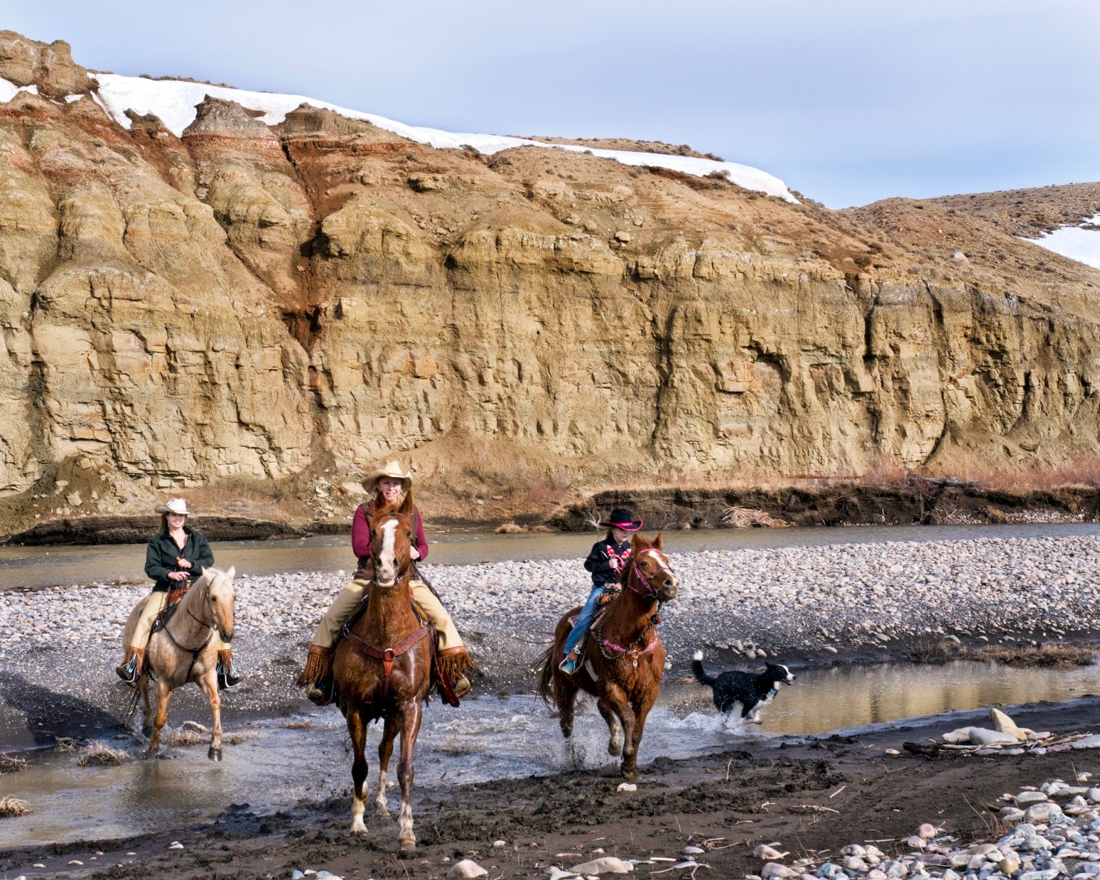 In-Sight: The Visual Slog