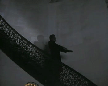 cult movies gif and screenshots