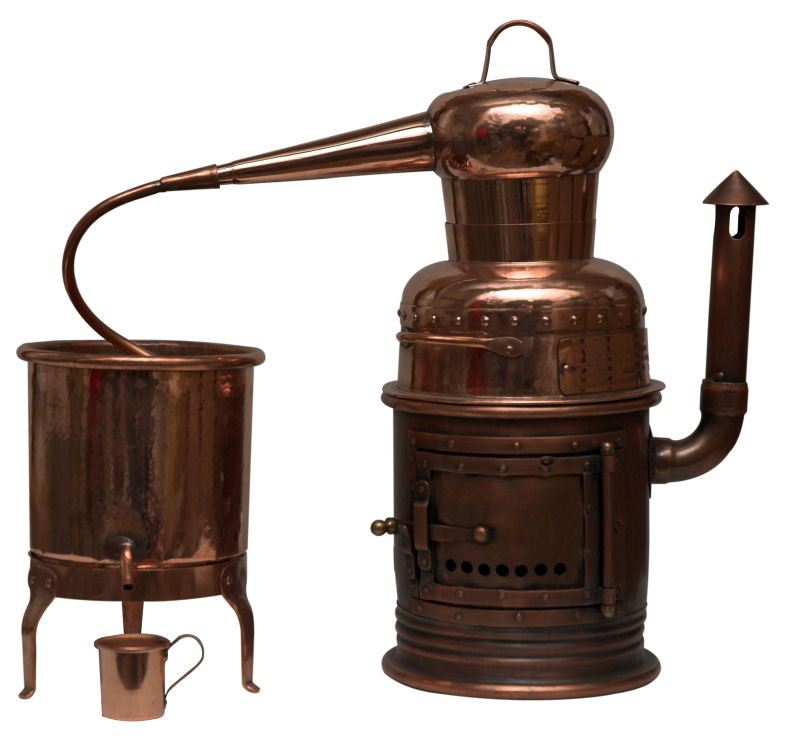 Bushcraft e medicina: I principi attivi delle piante