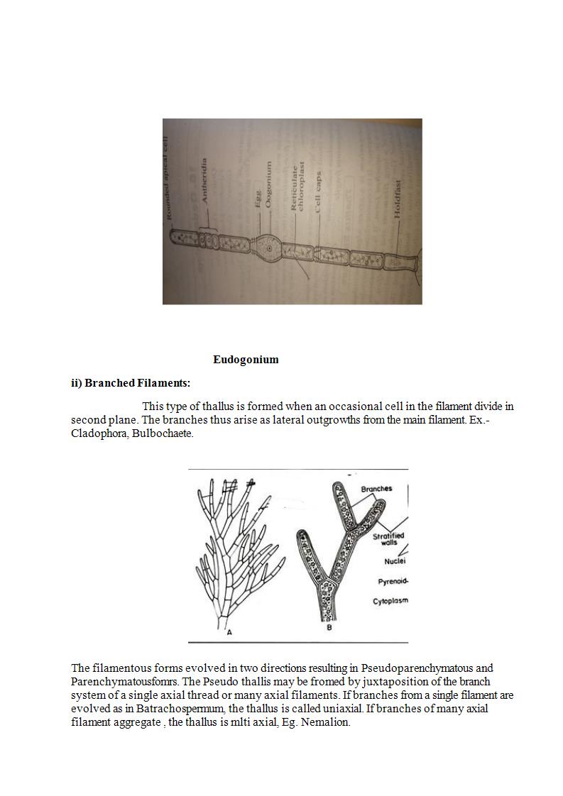 Department of Botany, Girraj Govt. College: Range of Thallus Structure ...