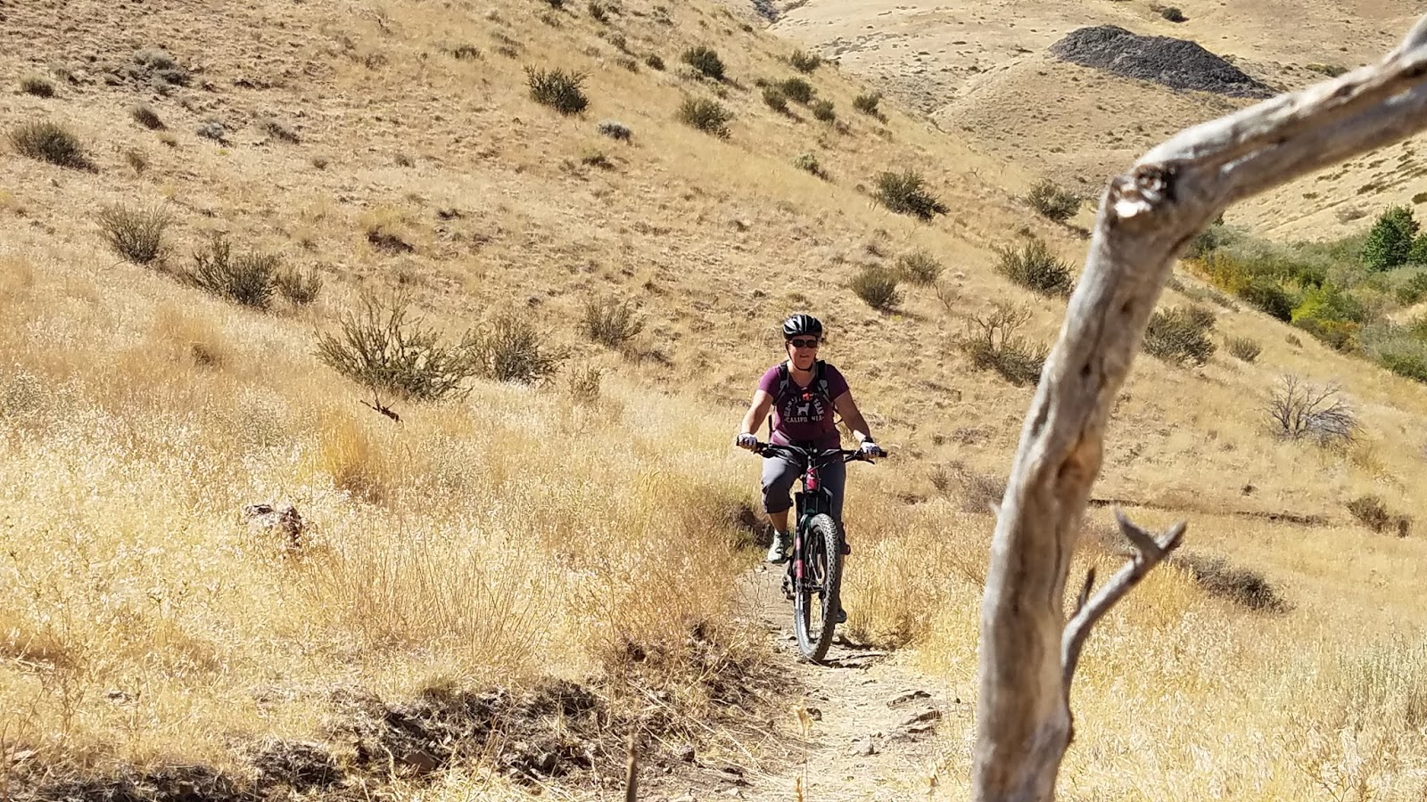 Riding in Reno: New to me Mountain Bike Trail....Ballardini Ranch Trails!