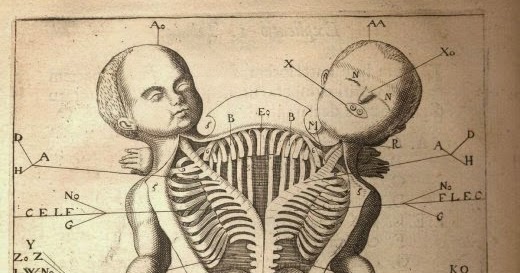 Experimento nazi con gemelos - MisteryInternet - Misterios de Internet ...