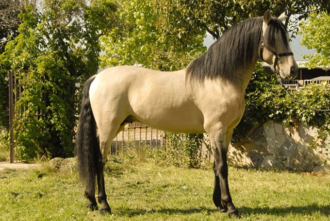 Diario de un pasajero