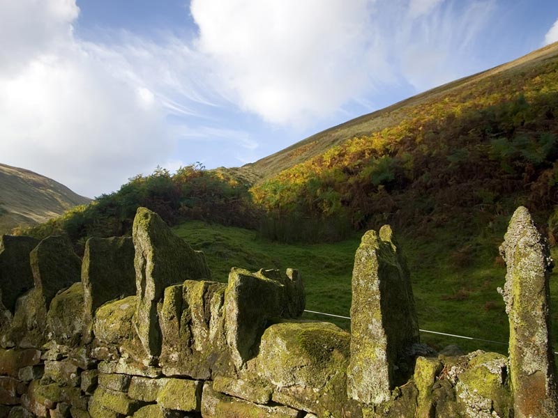 wallpaper zone: Stone Valley Wallpaper