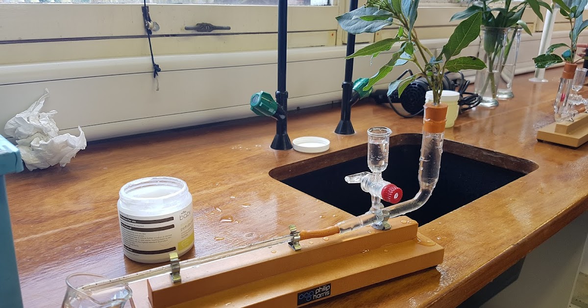 Oliver Hernández, Biology IB.: Water transport in plants. Potometer!