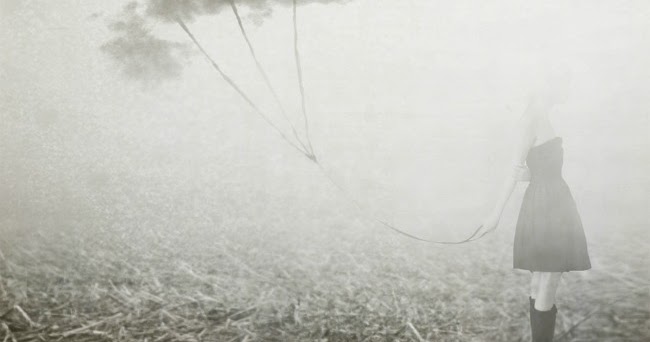 splendid actually: seeing clearly