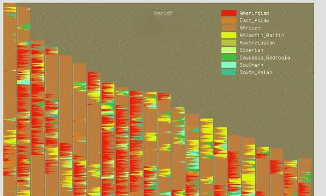Roots & Recombinant DNA: Admixture Centrifuge: Cherokee DNA