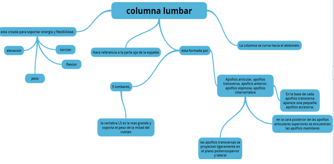 ANATOMIA RADIOLOGICA: 3. COLUMNA VERTEBRAL