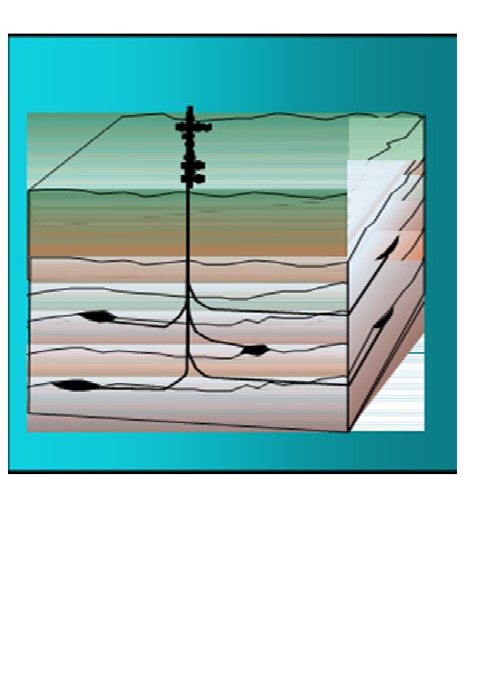 Drilling and Completion of Multilateral Wells | petroleum pedia
