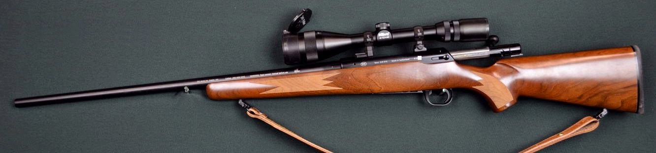 Armas de Fuego: mauser