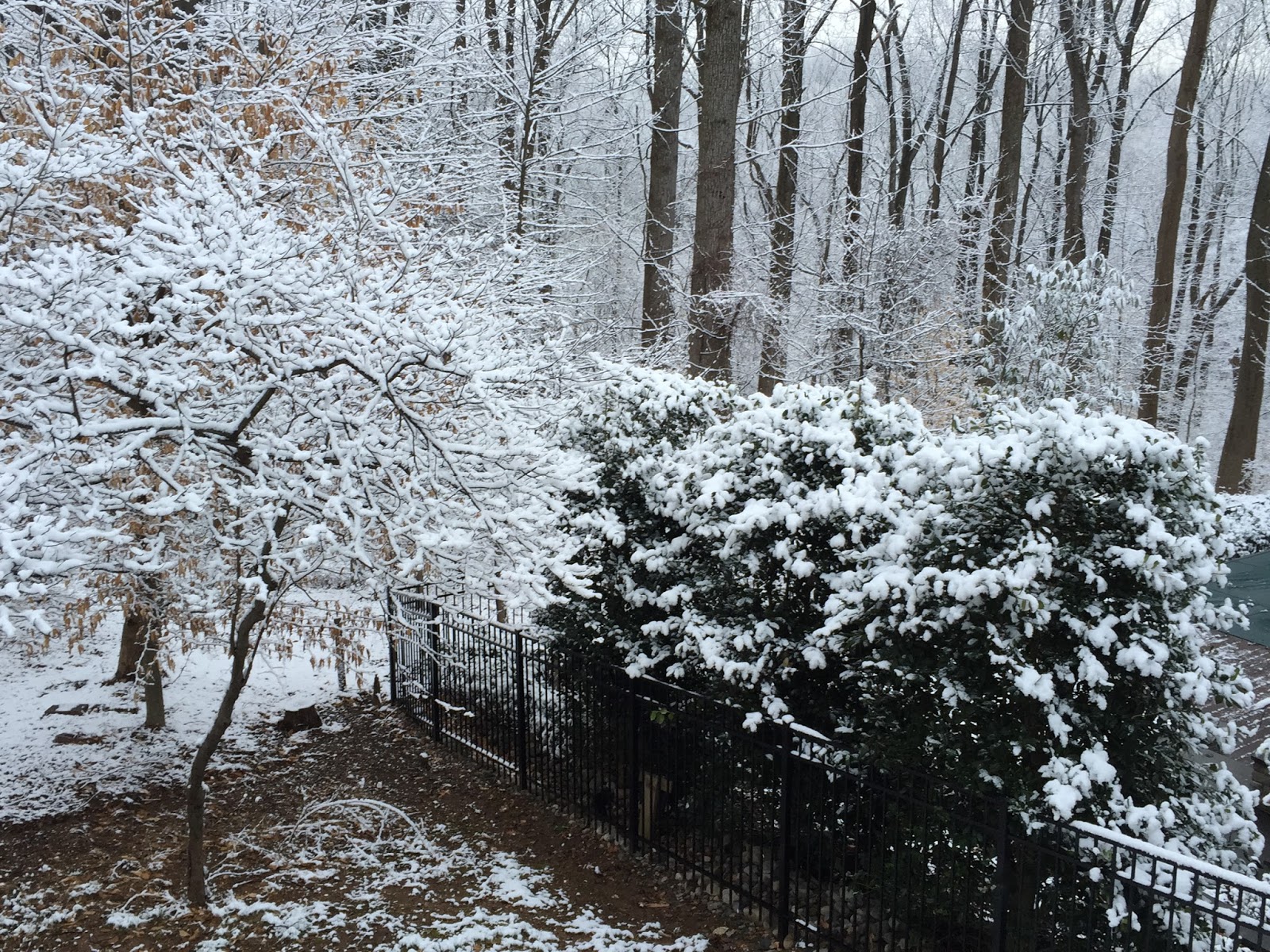 Wide World of Weather: Snow in March?