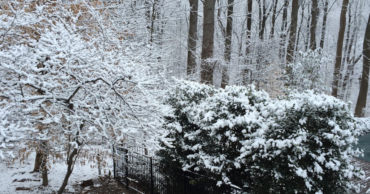 Wide World of Weather: Snow in March?