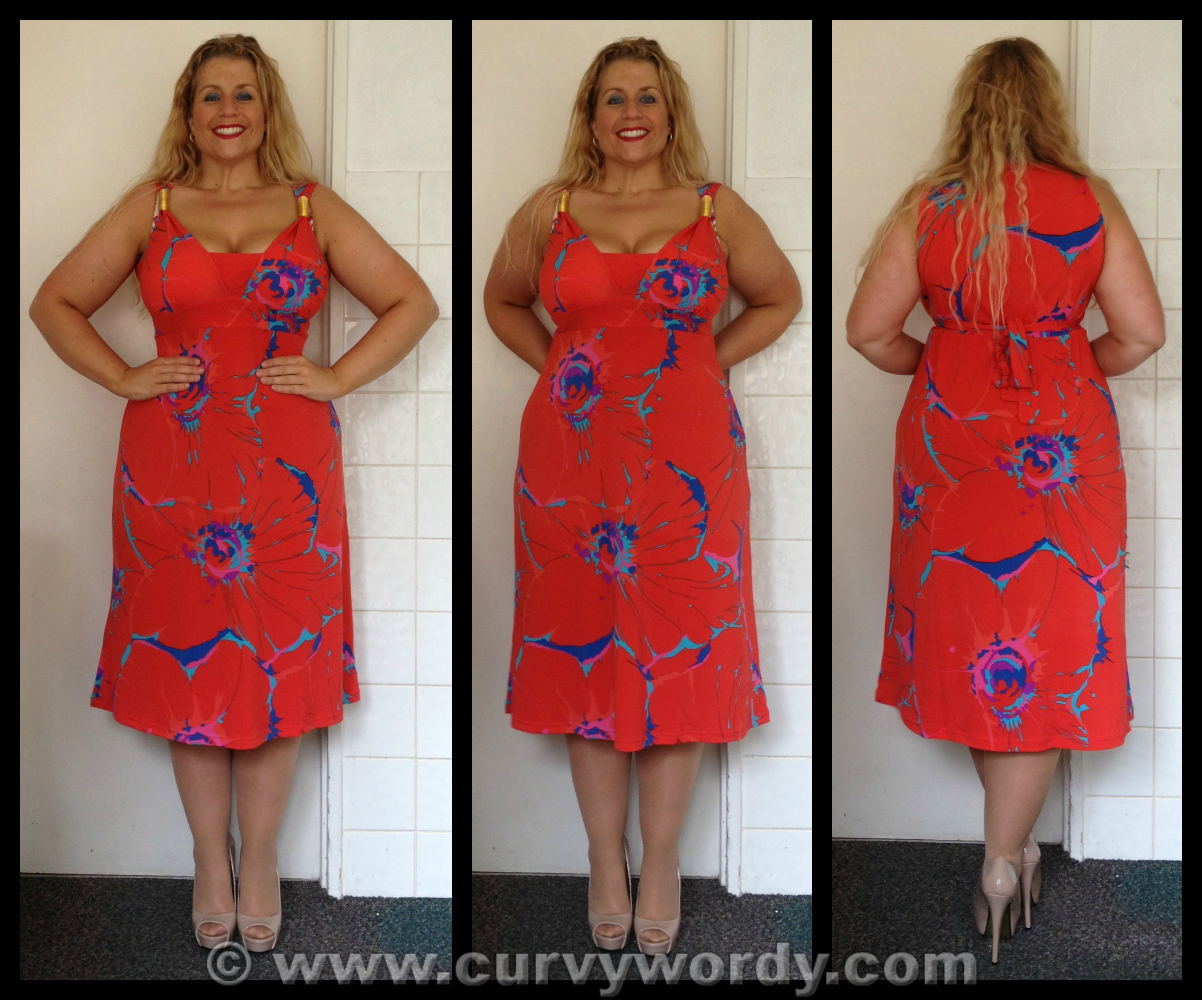 Anna Scholz for Simply Be Print Midi Dress 14 - Curvy Wordy