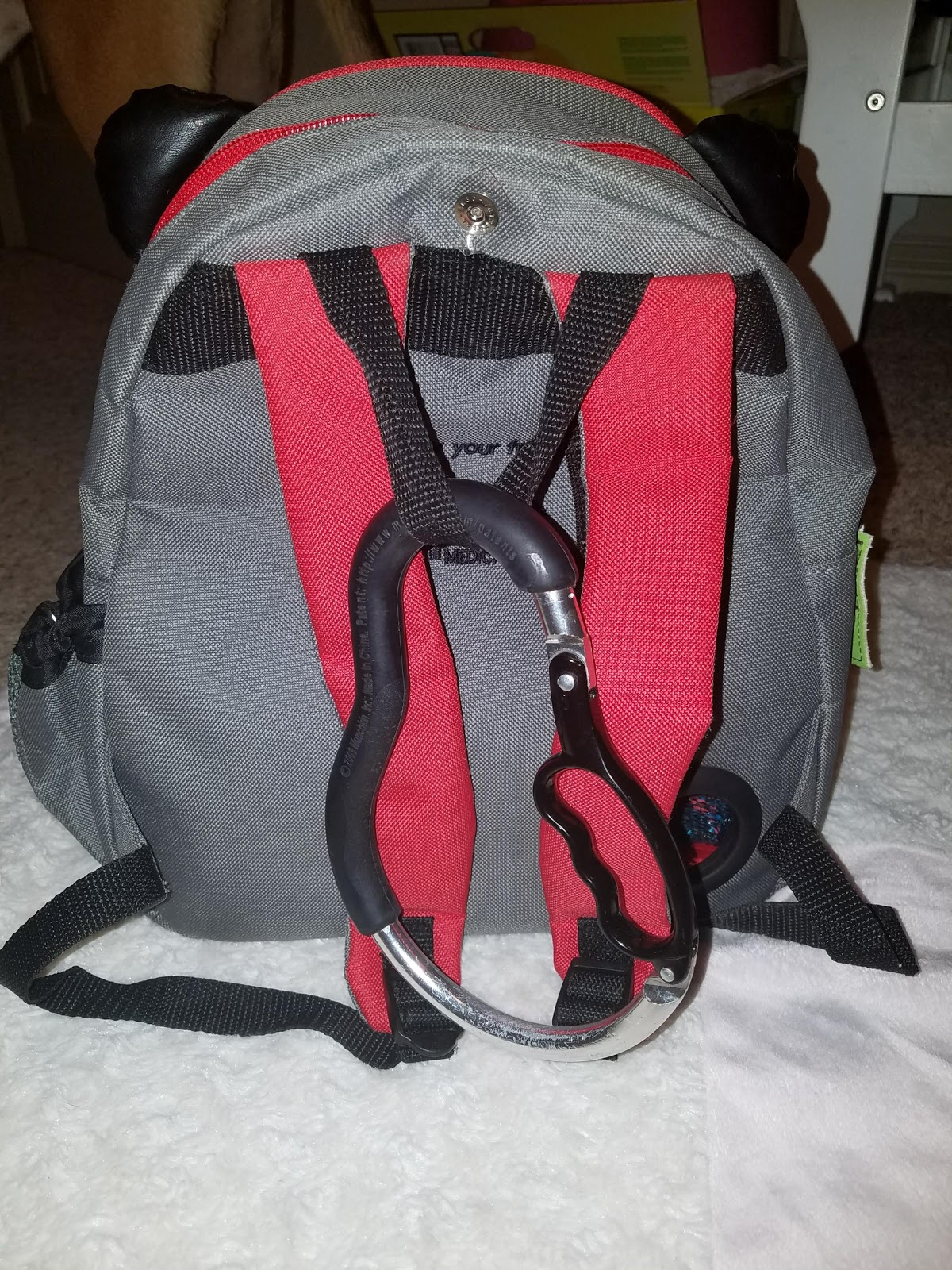 Feeding the Roof: Enteral Pump Feeds on the Go! Bolus & Continuous!