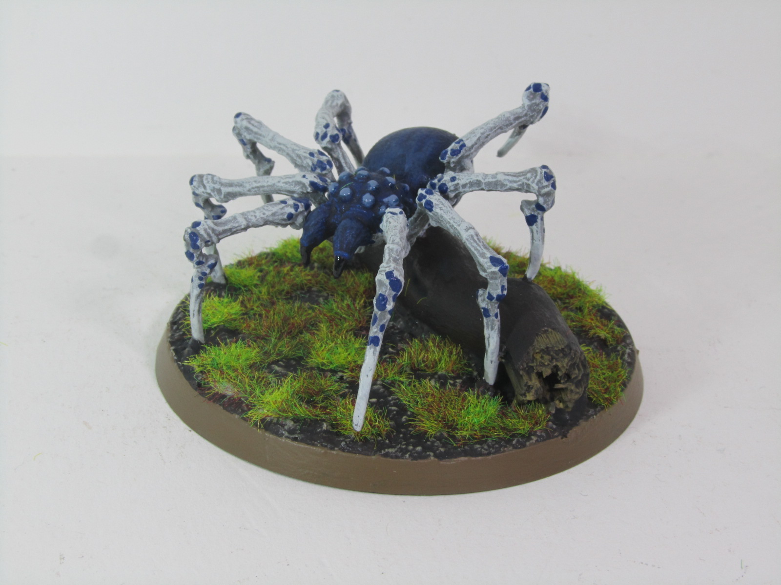 A Butterfly's Hobby Tally: Itsy Bitsy (Phase) Spider