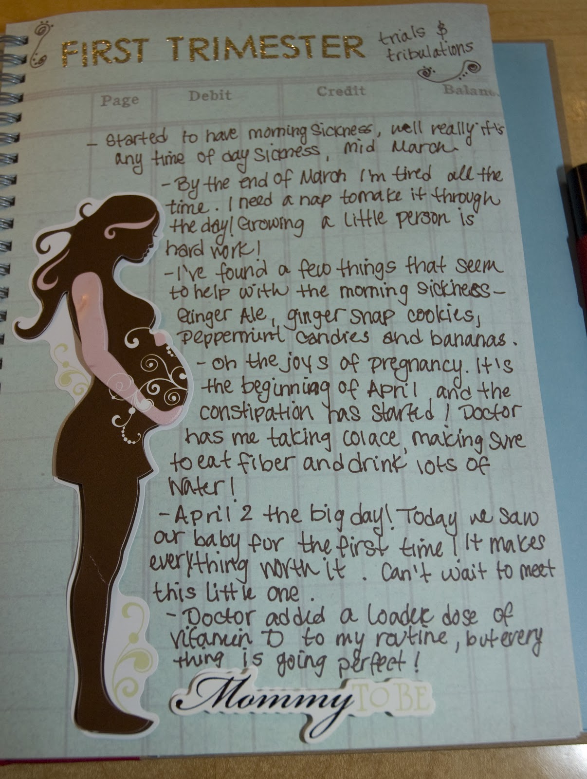 Scrapbook Mojo: Smash Pregnancy Journal Part 1